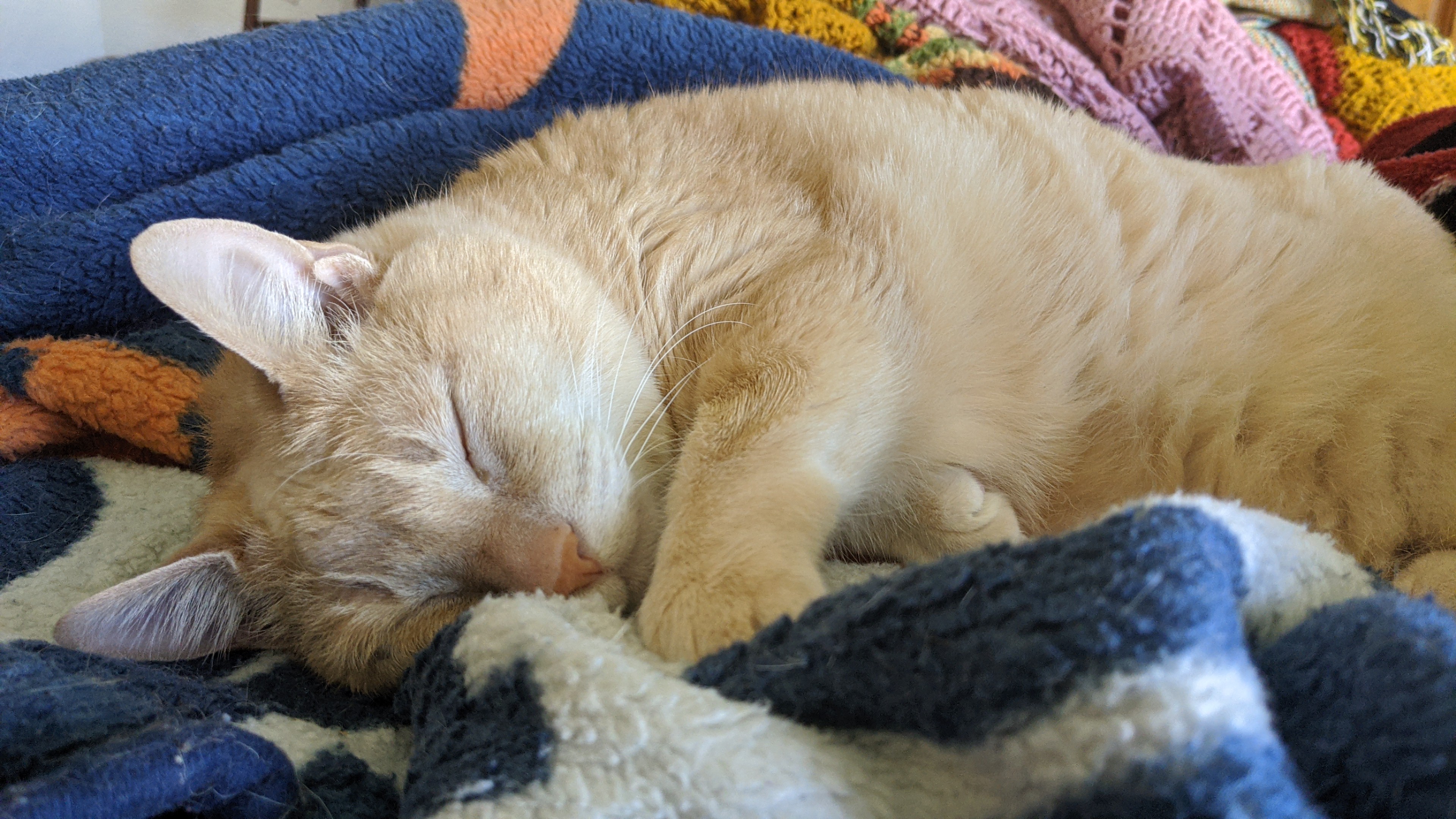 About Me – HodrosBooks